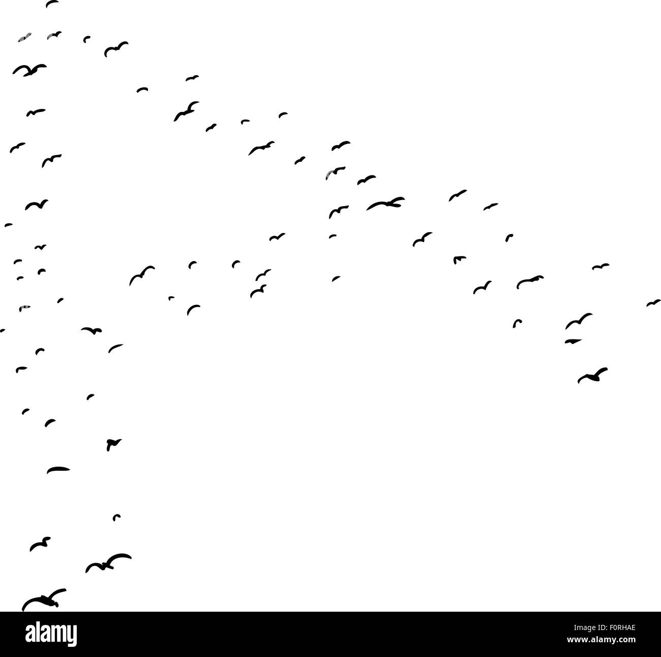 Illustration of a flock of birds in the shape of the letter a Stock ...