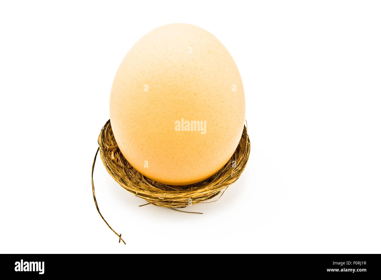 One egg in a small nest Stock Photo - Alamy