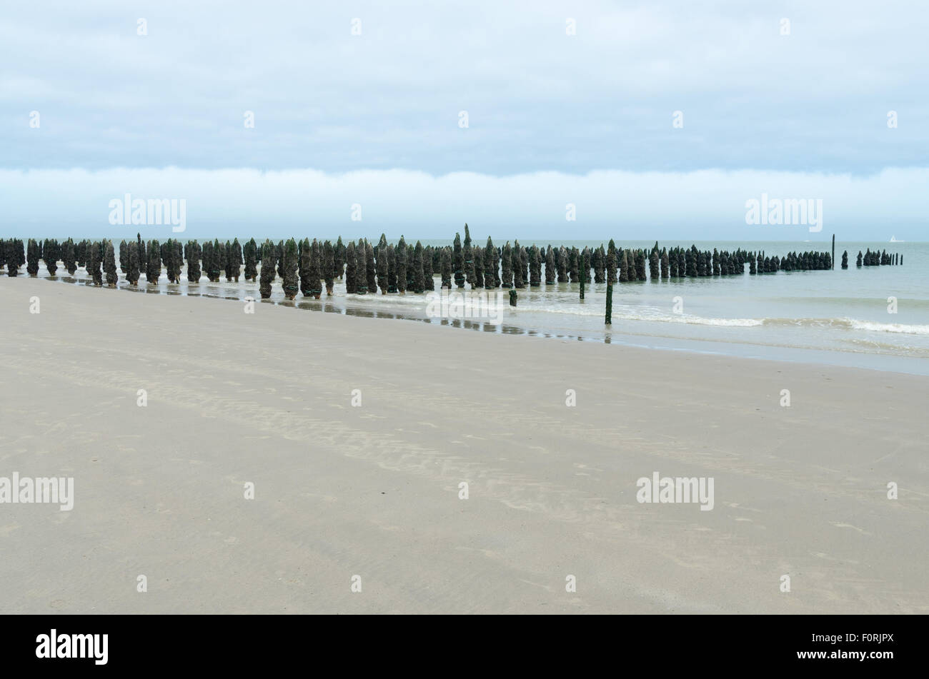 Mussel cultivation hi-res stock photography and images - Alamy