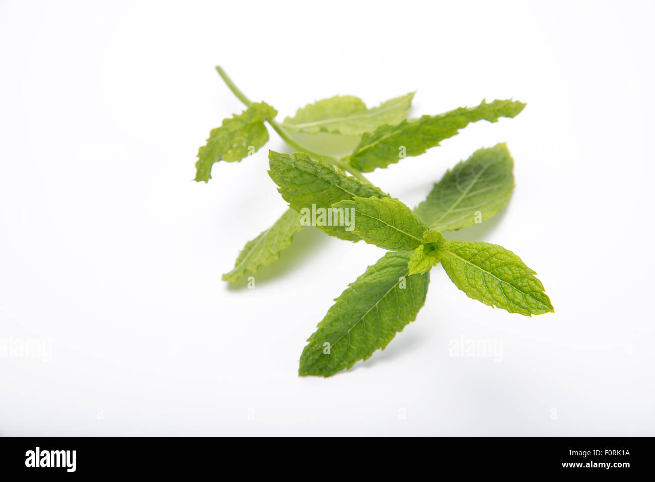 Mint leaves isolated on white background Stock Photo - Alamy