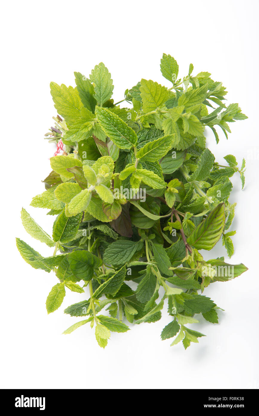 Mint mix solated on white background Stock Photo - Alamy