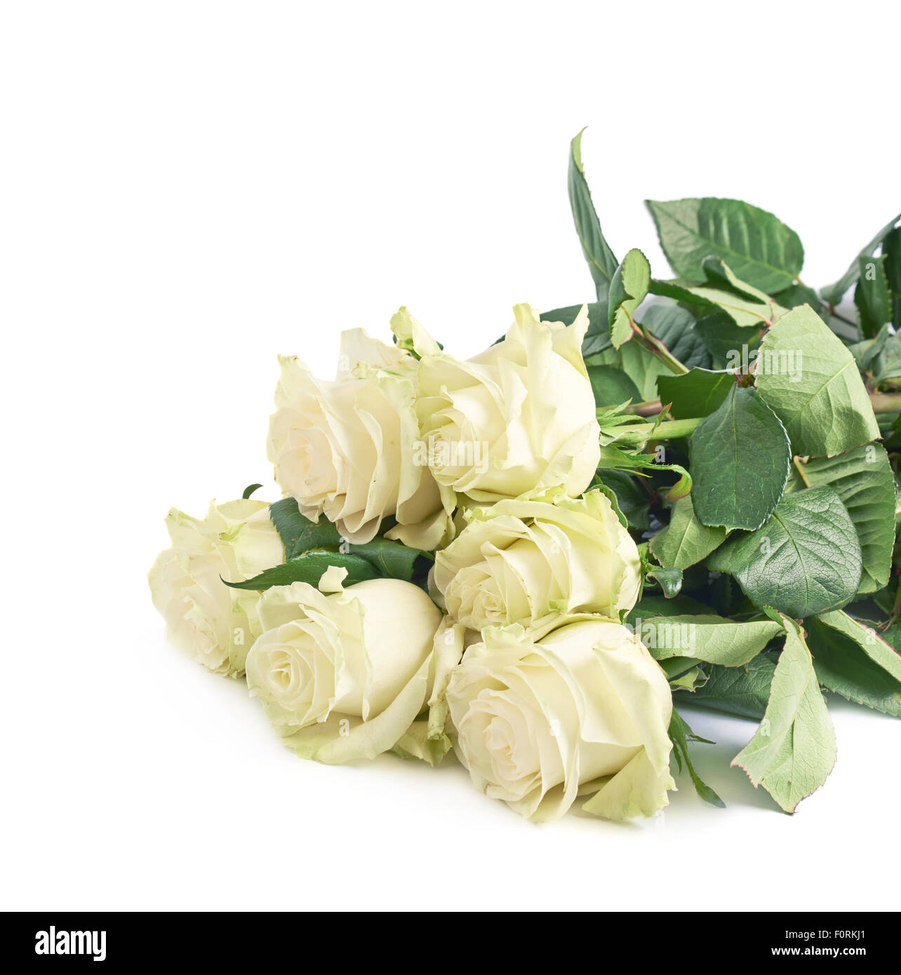 Pile of roses hi-res stock photography and images - Alamy