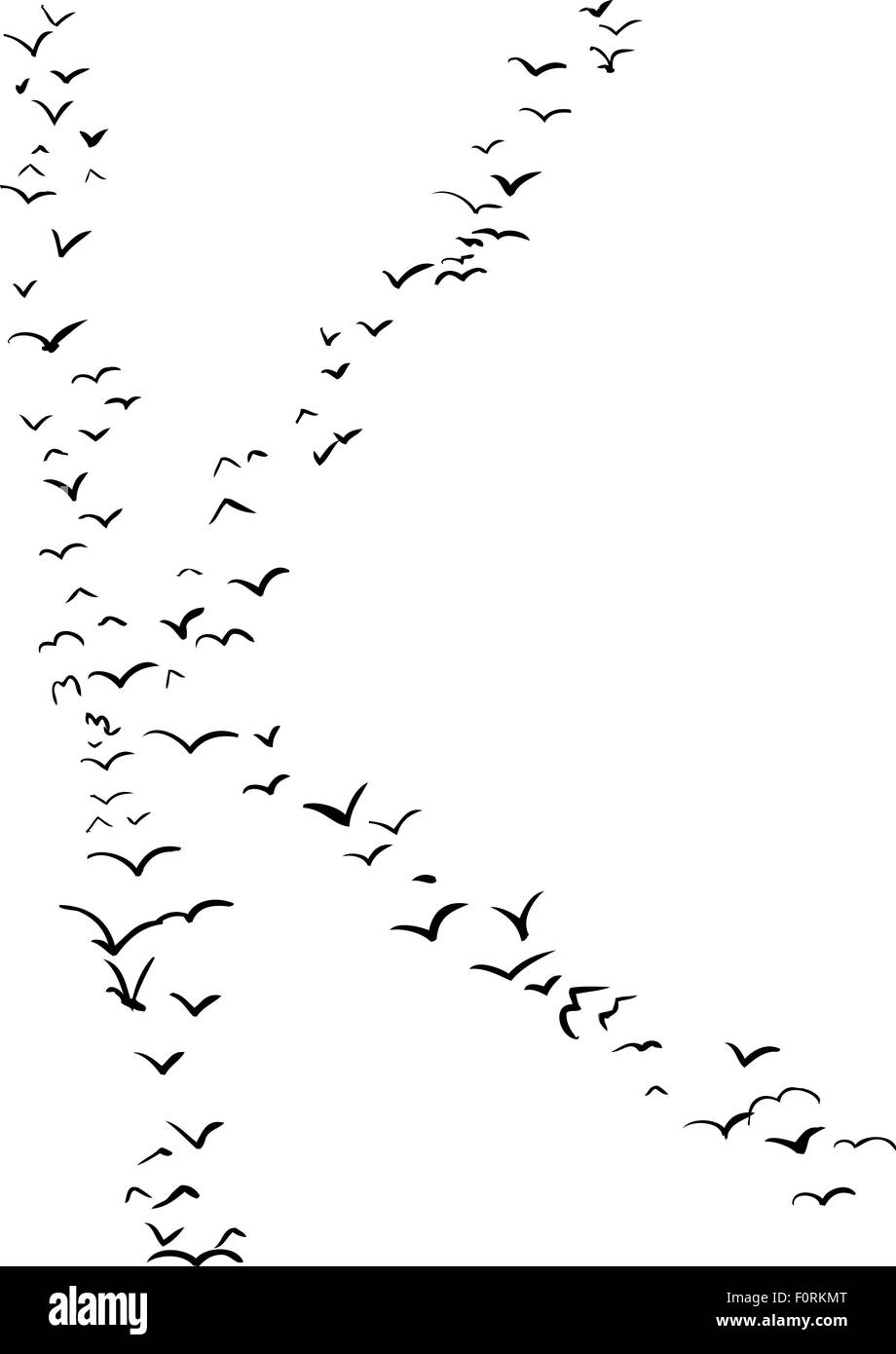 Illustration of a flock of birds in the shape of the letter k Stock ...