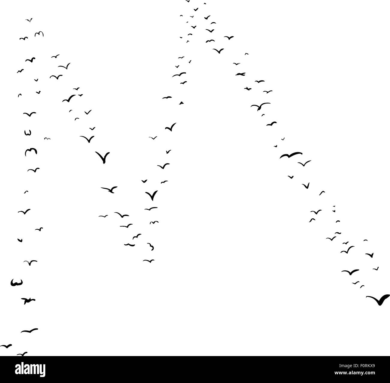Illustration of a flock of birds in the shape of the letter m Stock ...