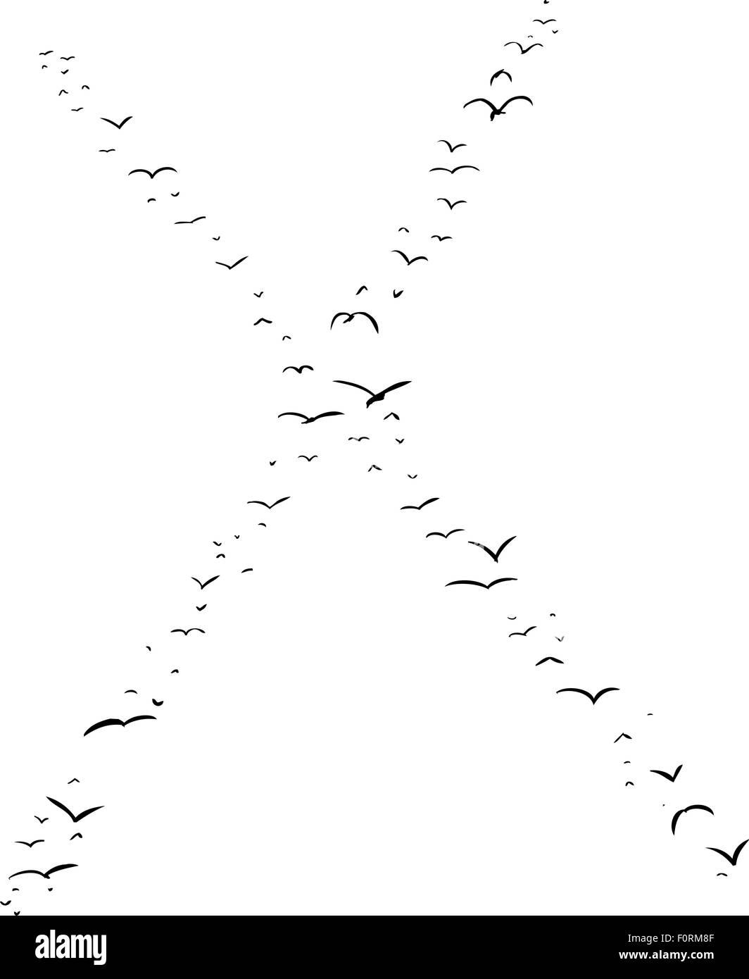 Illustration of a flock of birds in the shape of the letter x Stock ...