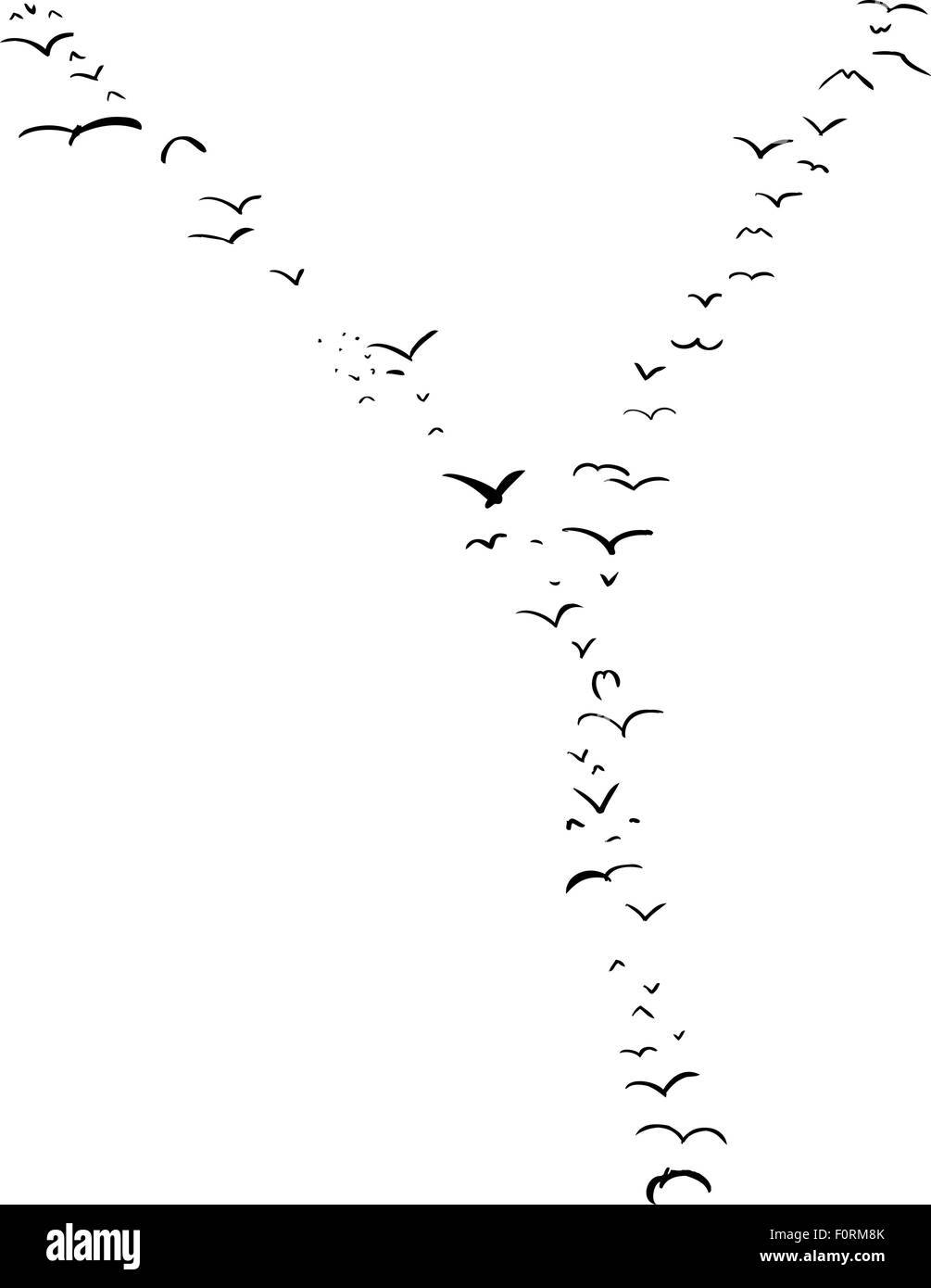 Illustration of a flock of birds in the shape of the letter Y Stock ...