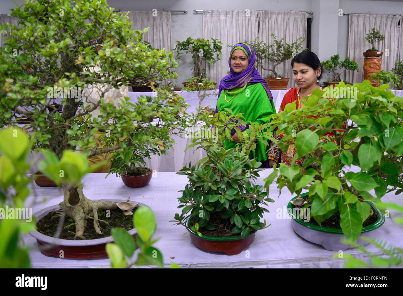 Dhaka, Bangladesh. 20th August, 2015. Visitors in the Bonsai fair in ...