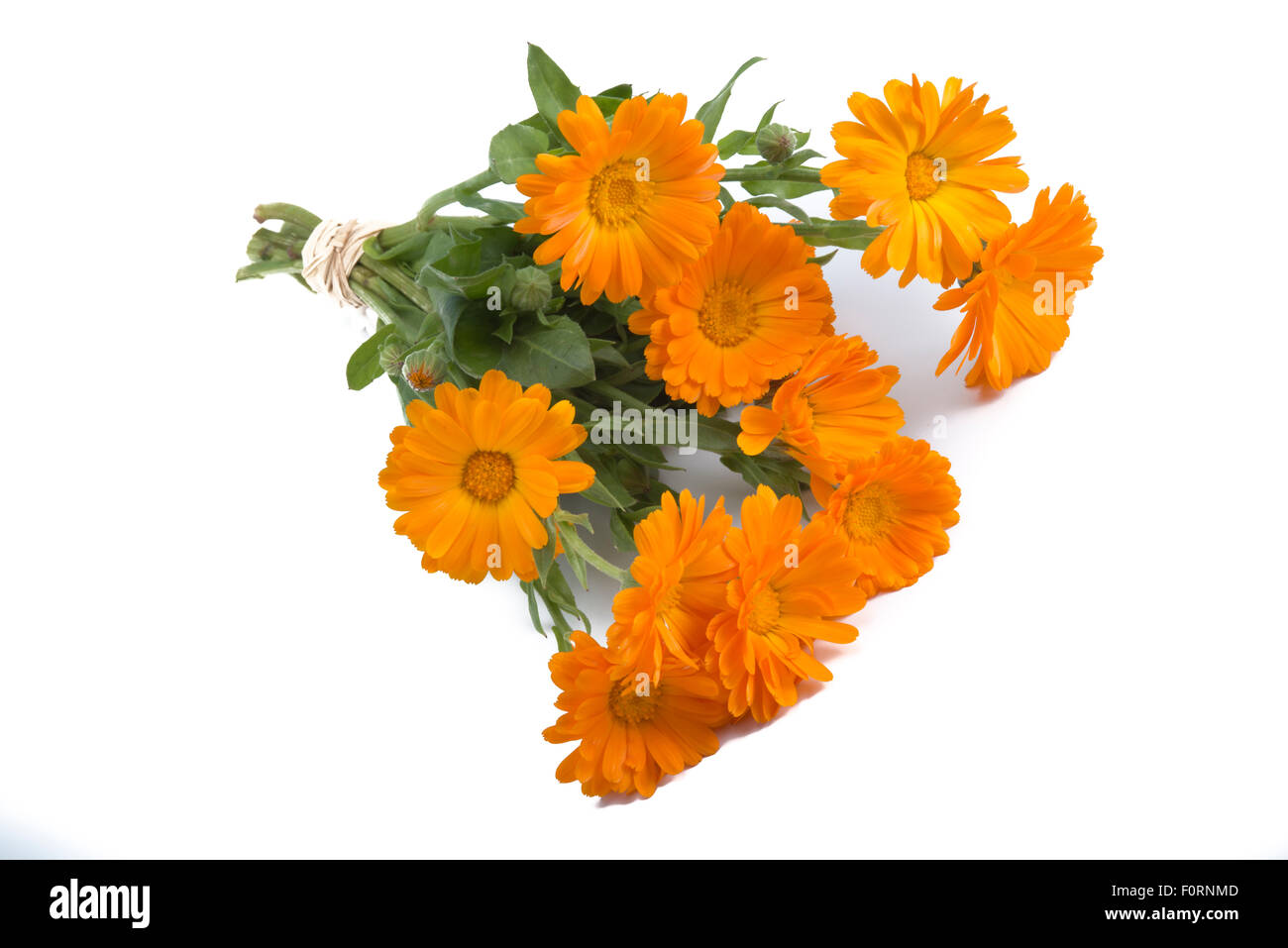 Calendula flower bouquet on white background Stock Photo - Alamy