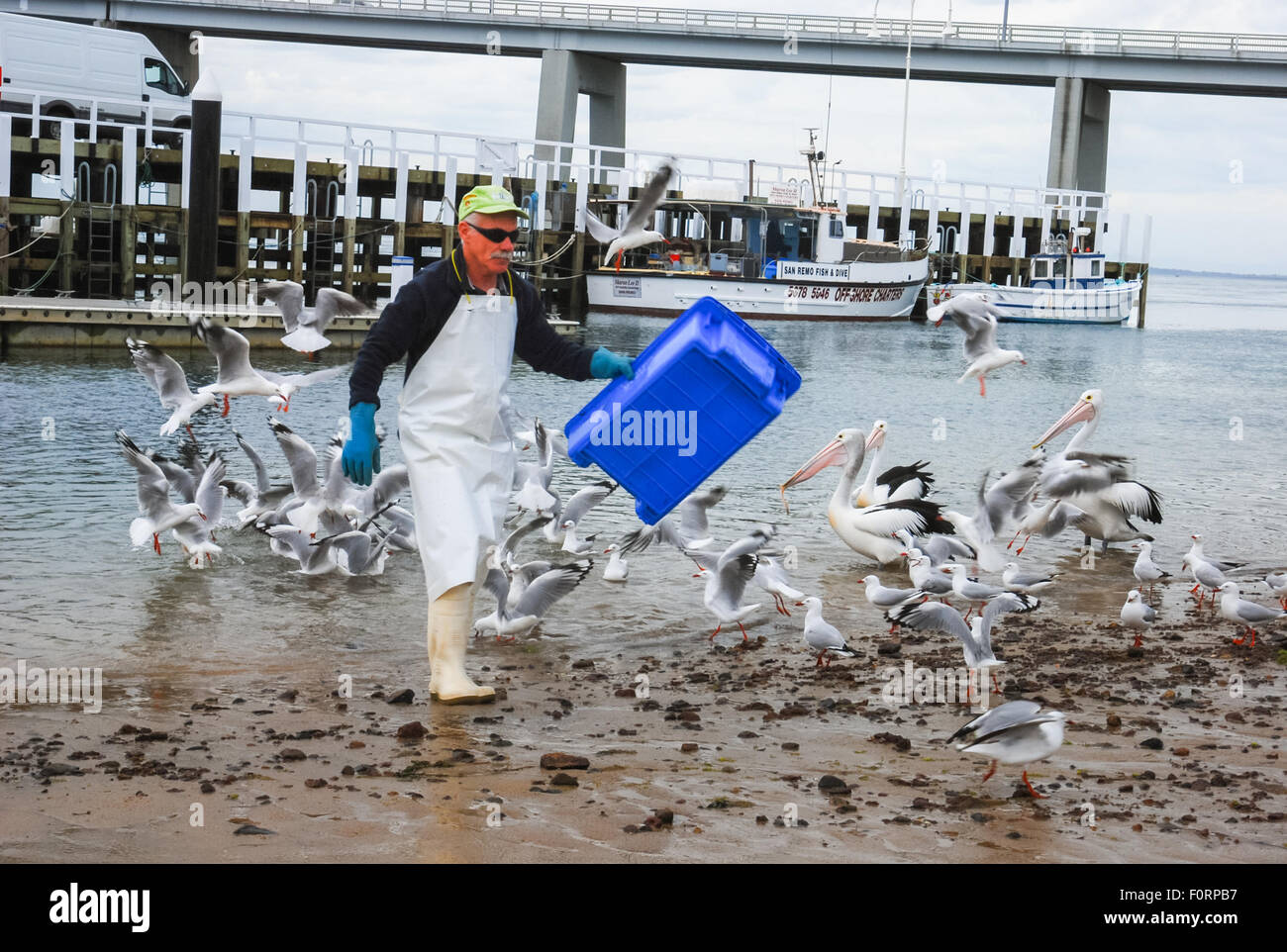 Human feeding birds hi-res stock photography and images - Alamy