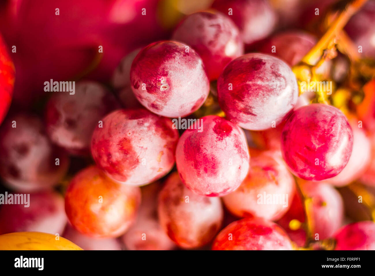 Grape shot at close range Stock Photo - Alamy