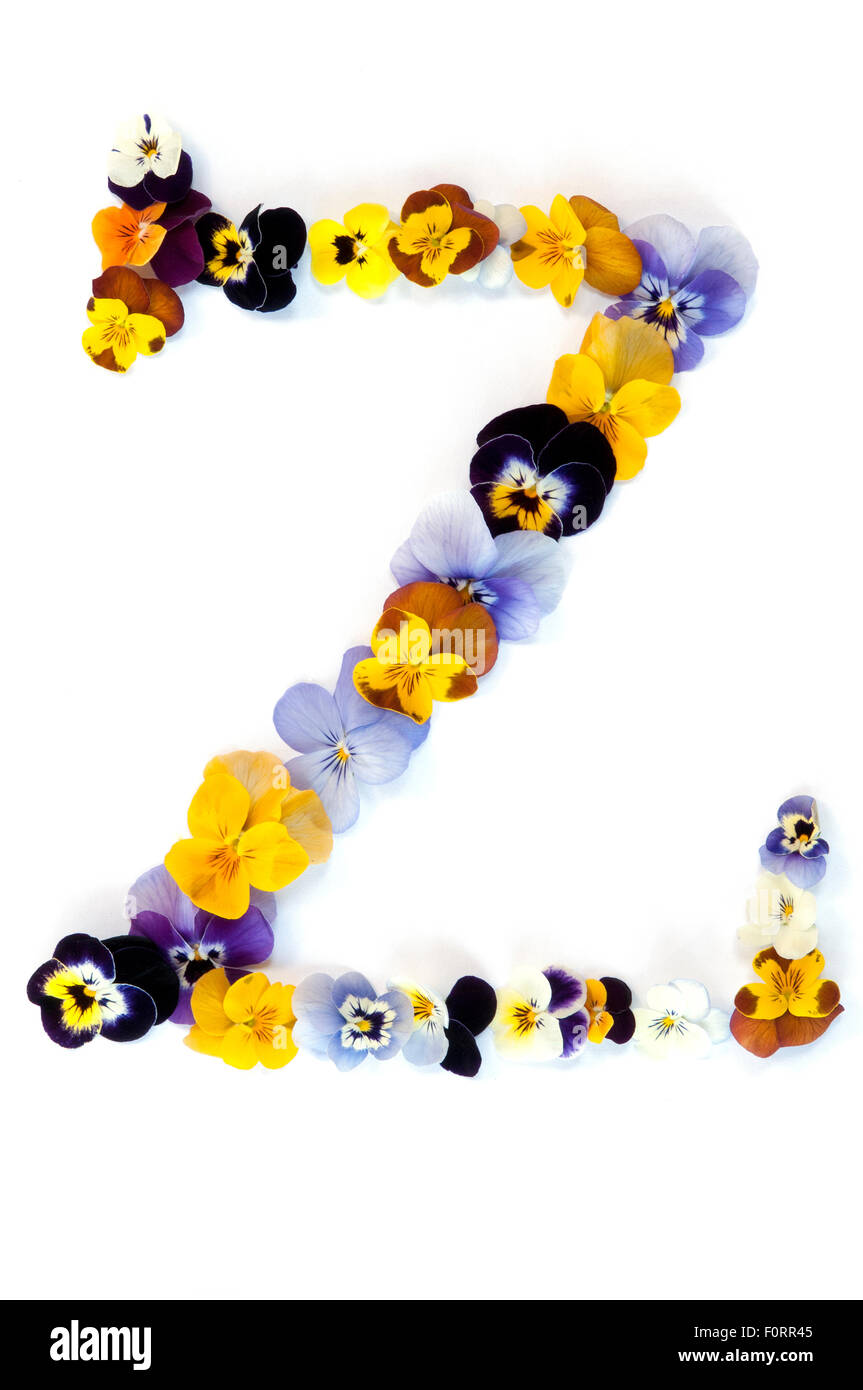 Floral Font Letter Z High Resolution Stock Photography and Images - Alamy