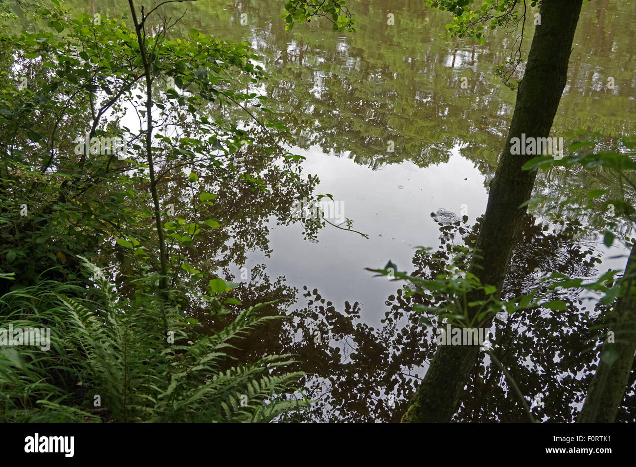 Reflections in a river, Derbyshire, England Stock Photo - Alamy