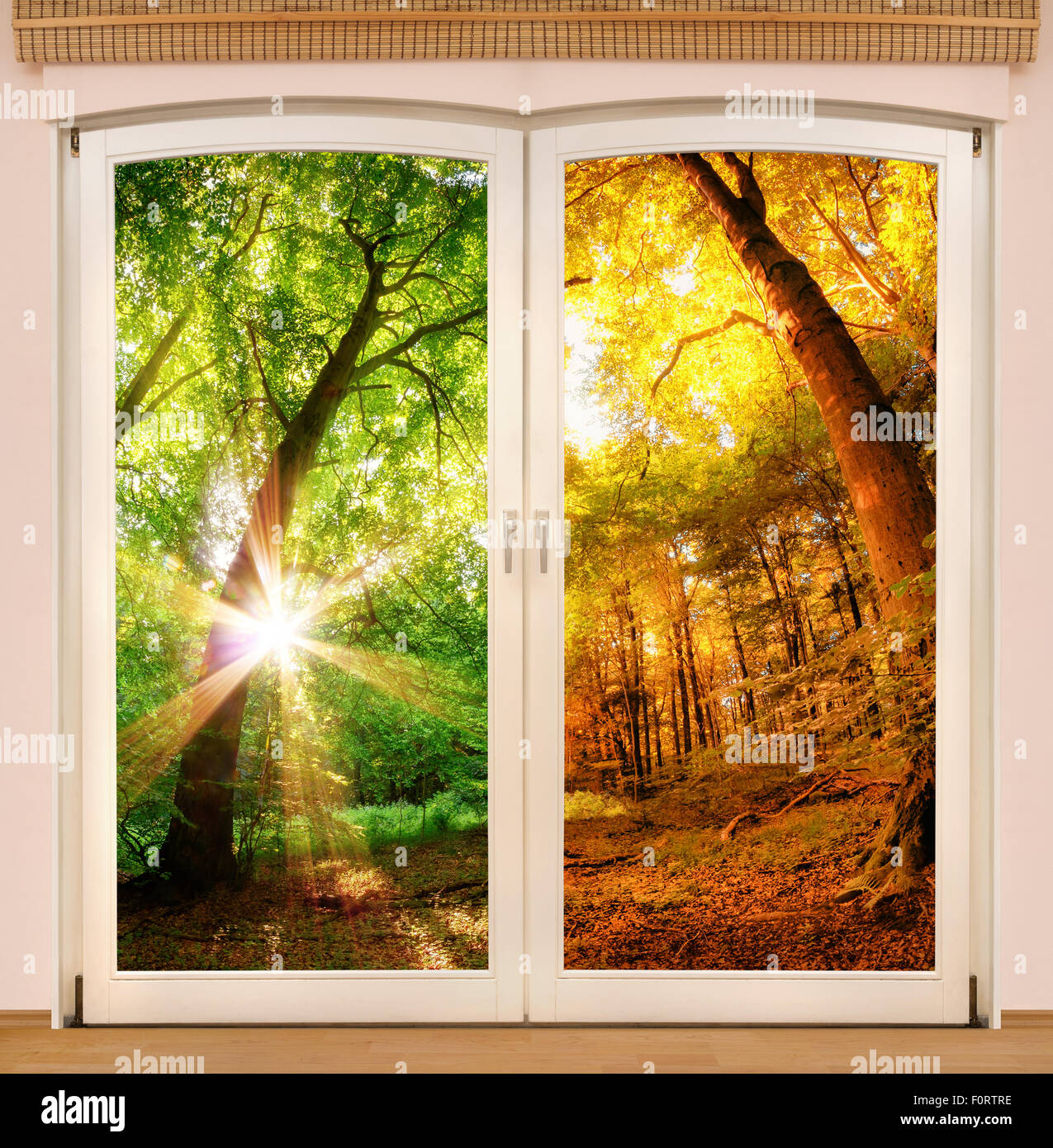 Change of seasons hi-res stock photography and images - Alamy