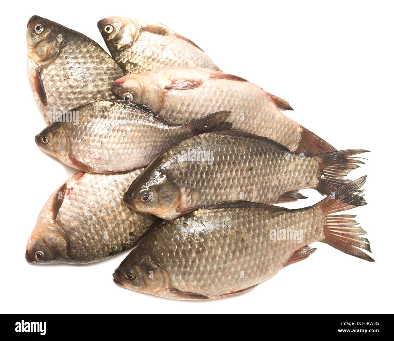 pile of fresh fish isolated on white background Stock Photo - Alamy