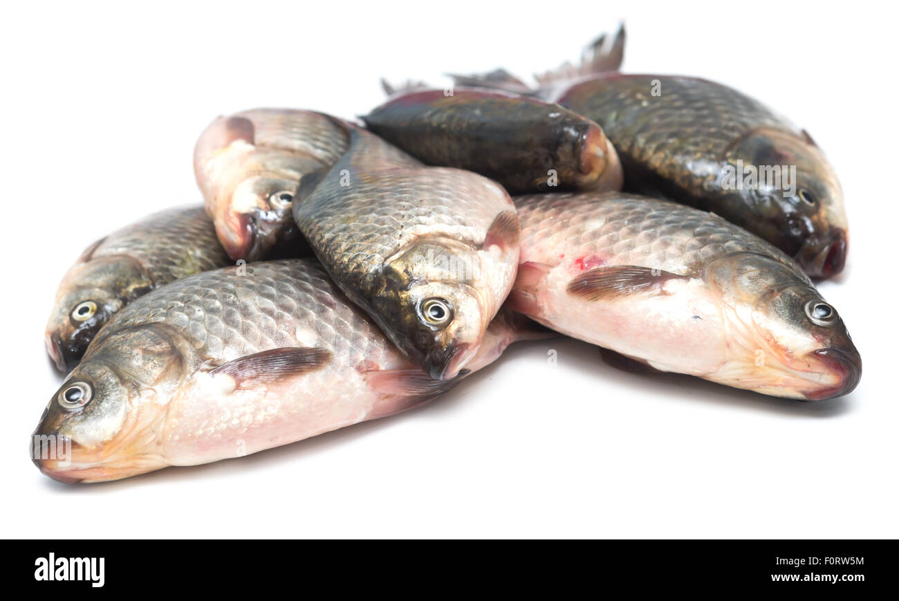 pile of fresh fish isolated on white background Stock Photo - Alamy