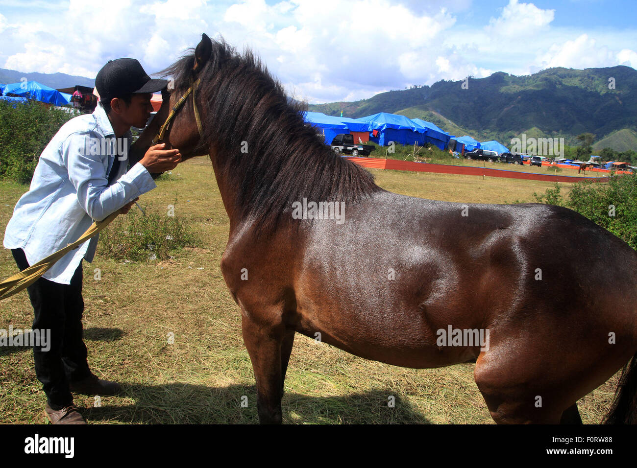 Takengon, Indonesia. 20th Aug, 2015. A horse owner kiss his horse ...