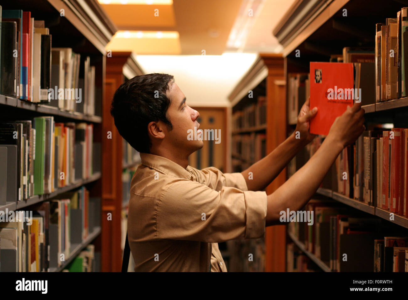 Student looking at a book cover in library Stock Photo - Alamy