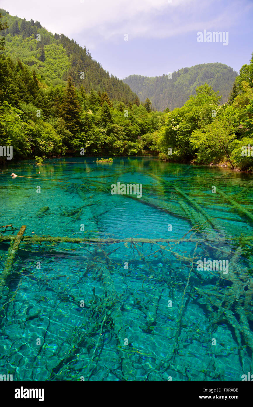 Jiuzhaigou National Park water trees and mountains Stock Photo - Alamy