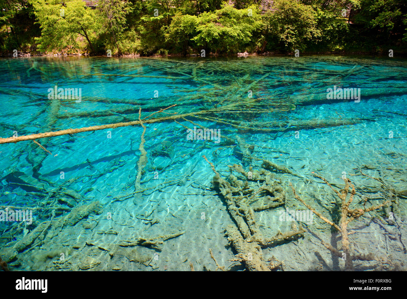 Five flowers lake china hi-res stock photography and images - Alamy