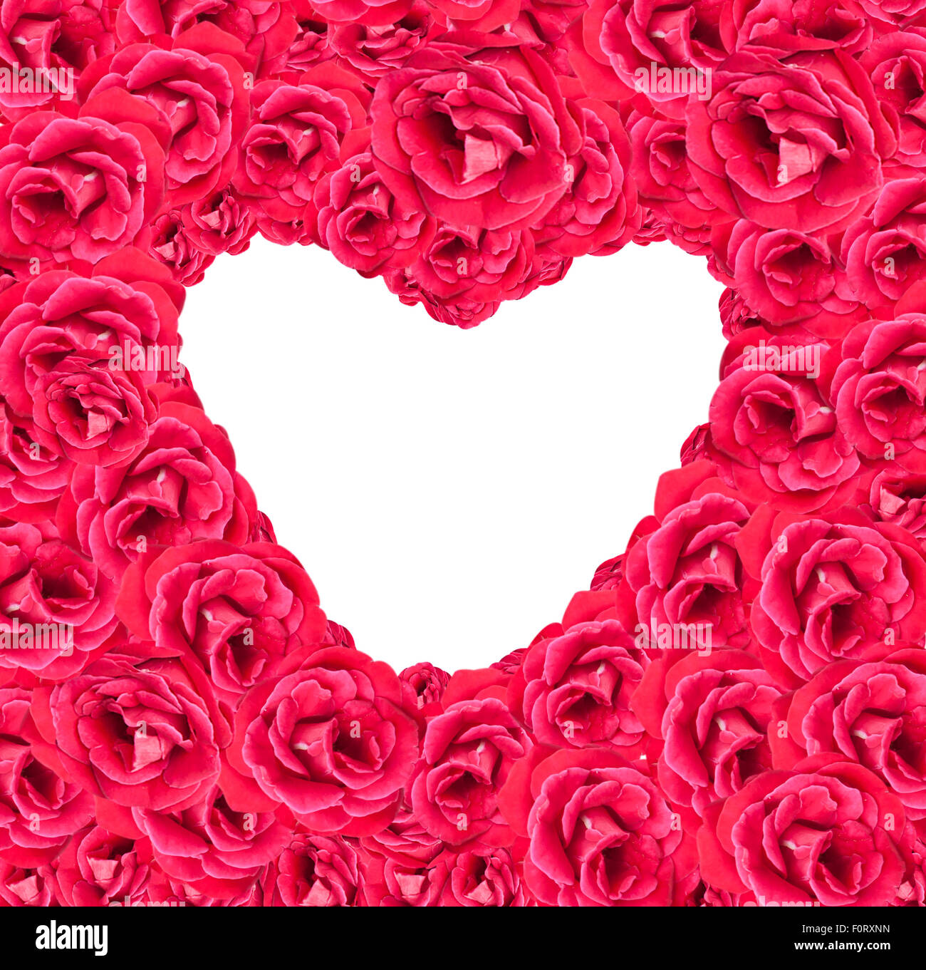 Background rose love heart shape isolated on white background Stock ...