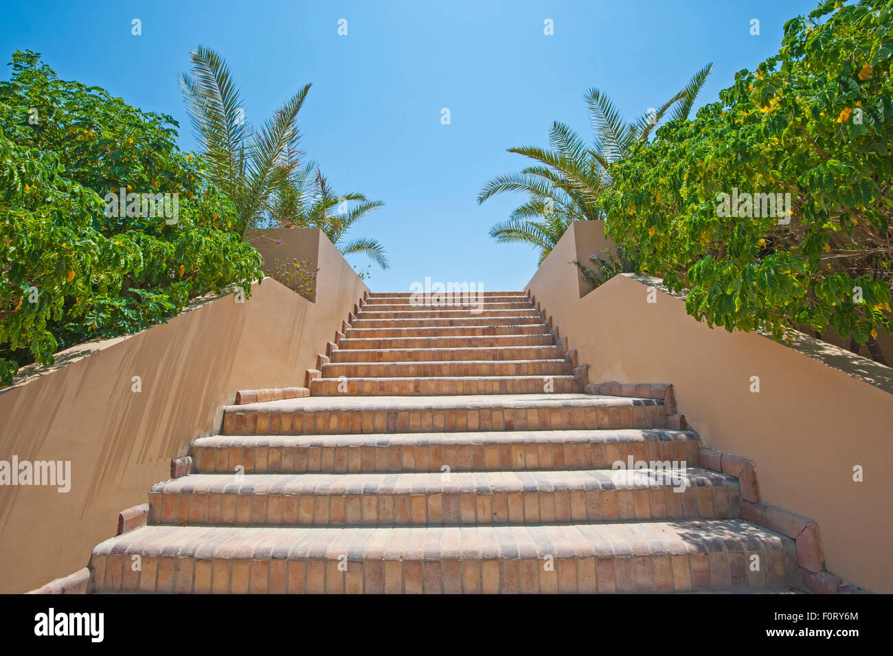 Garden stone steps hi-res stock photography and images - Alamy