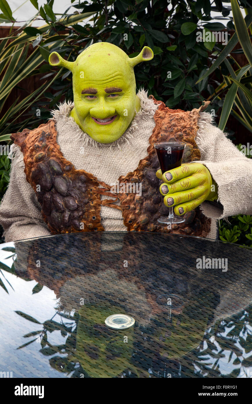 Shrek figure High Resolution Stock Photography and Images - Alamy