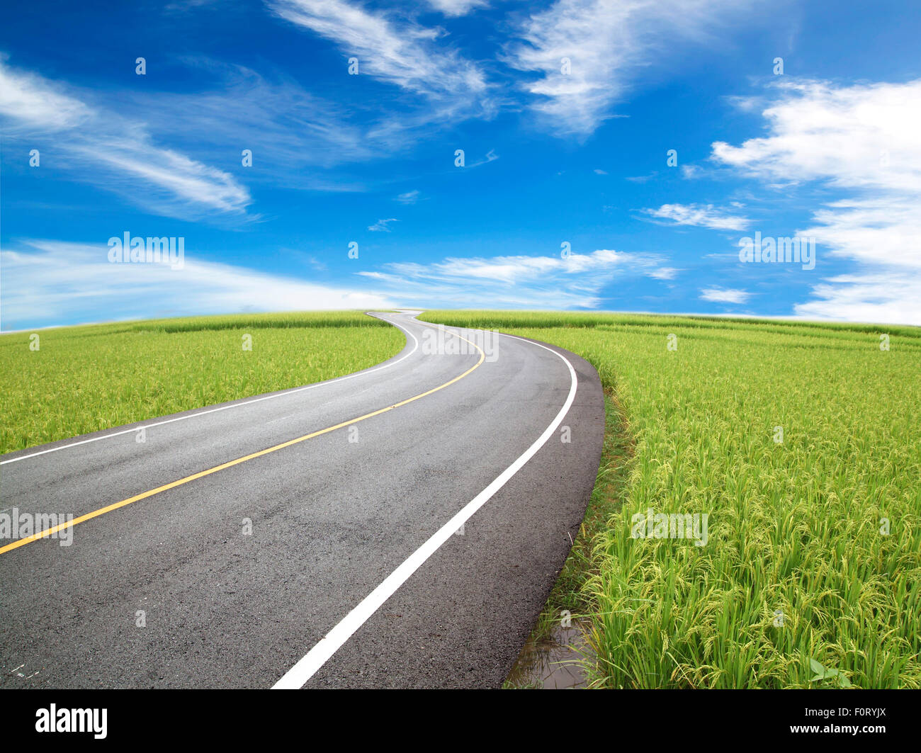 Road and Sky Cornfield trip roadside views of nature Stock Photo - Alamy