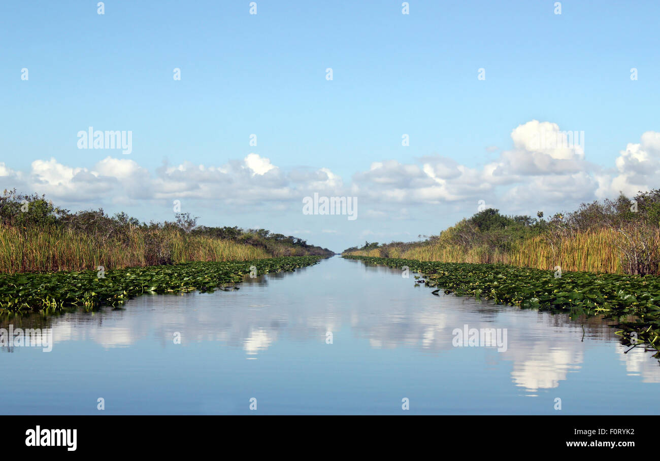 Beautiful lake landscape in Everglades Florida Stock Photo - Alamy