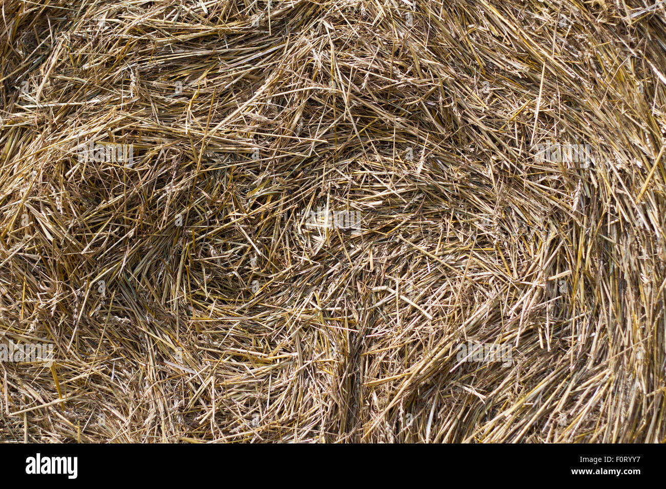 Straw natural background Stock Photo - Alamy