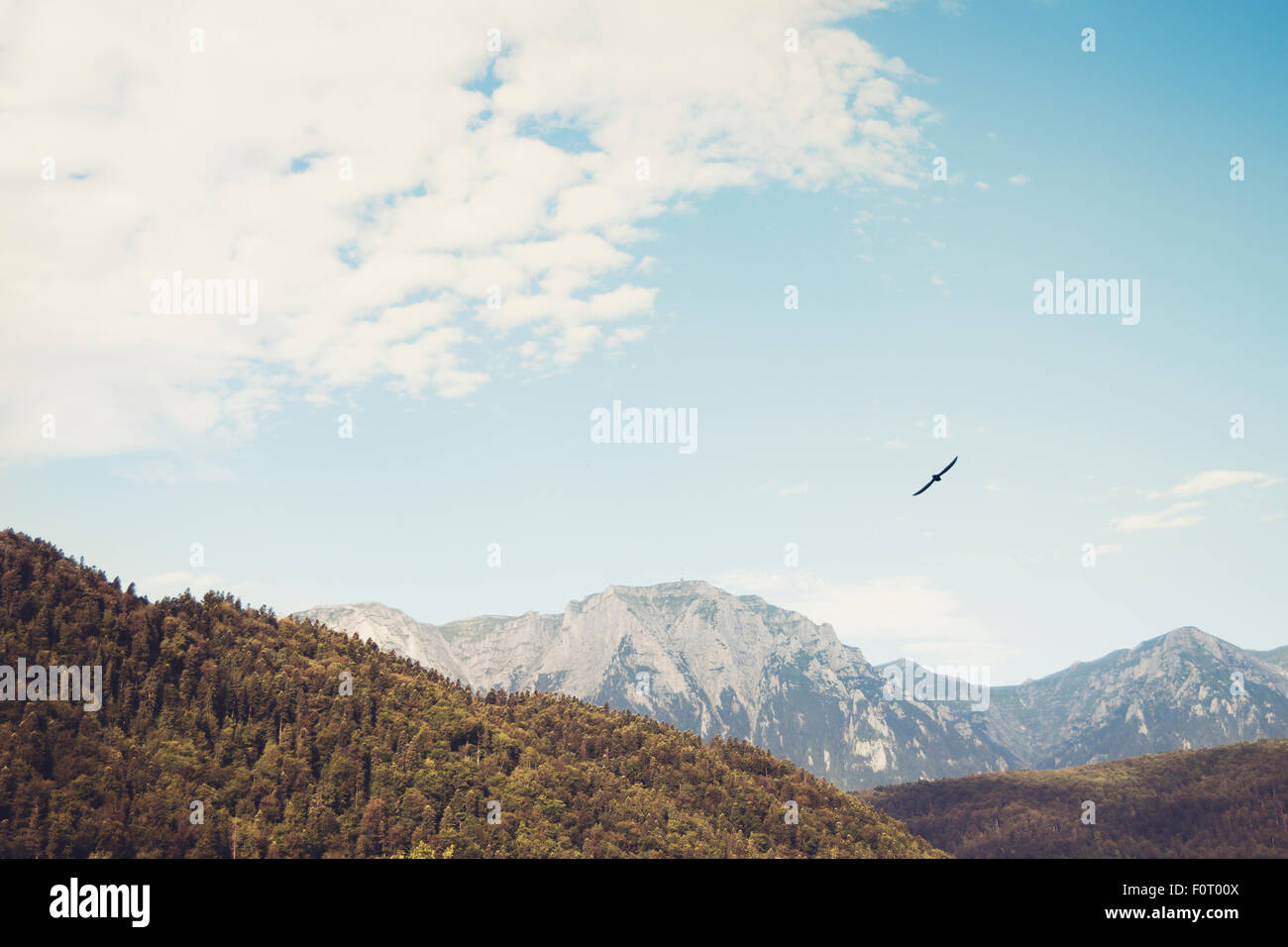 Ladscape trees hi-res stock photography and images - Alamy