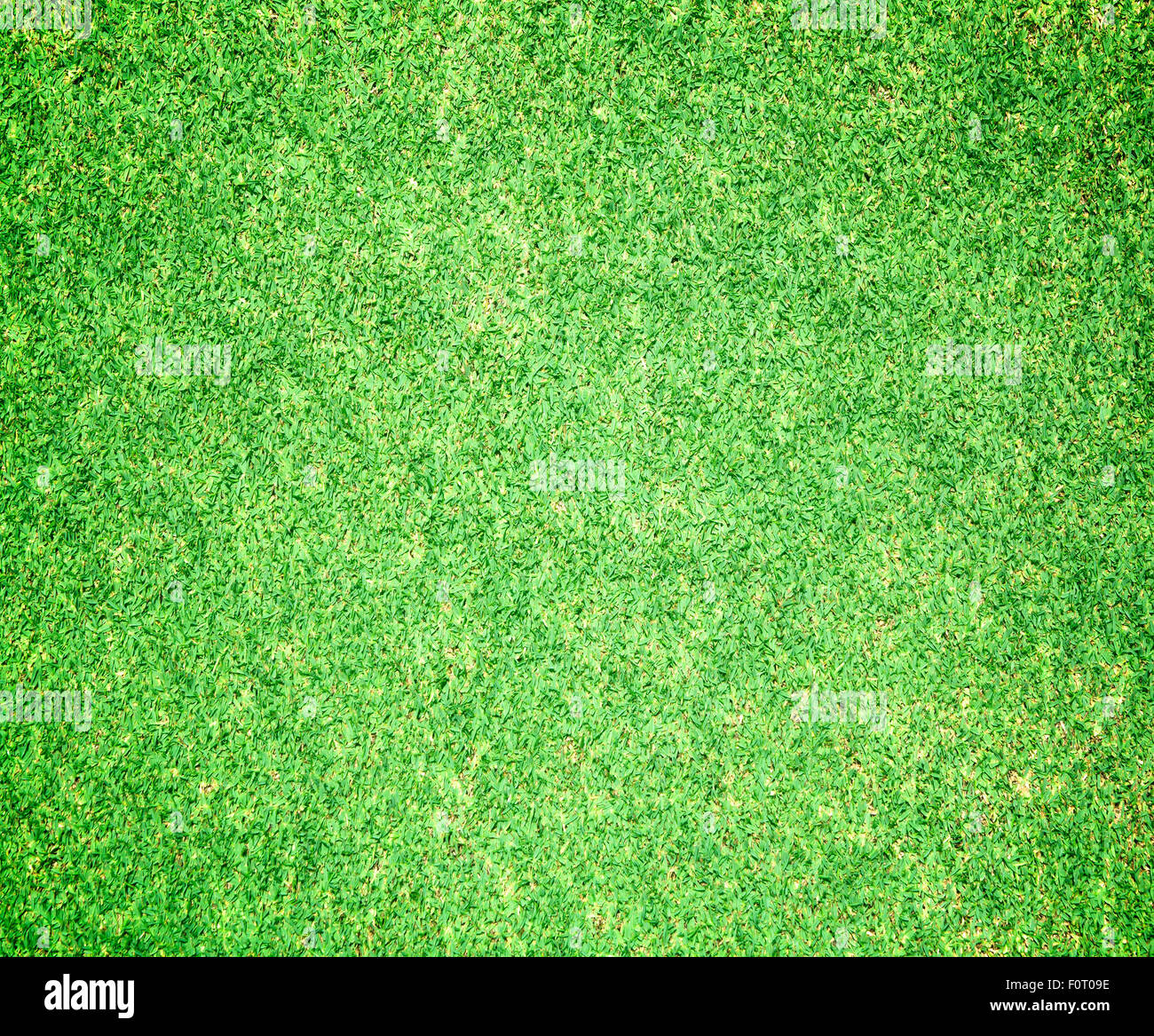 beautiful pattern of fresh green grass for football sport, football ...