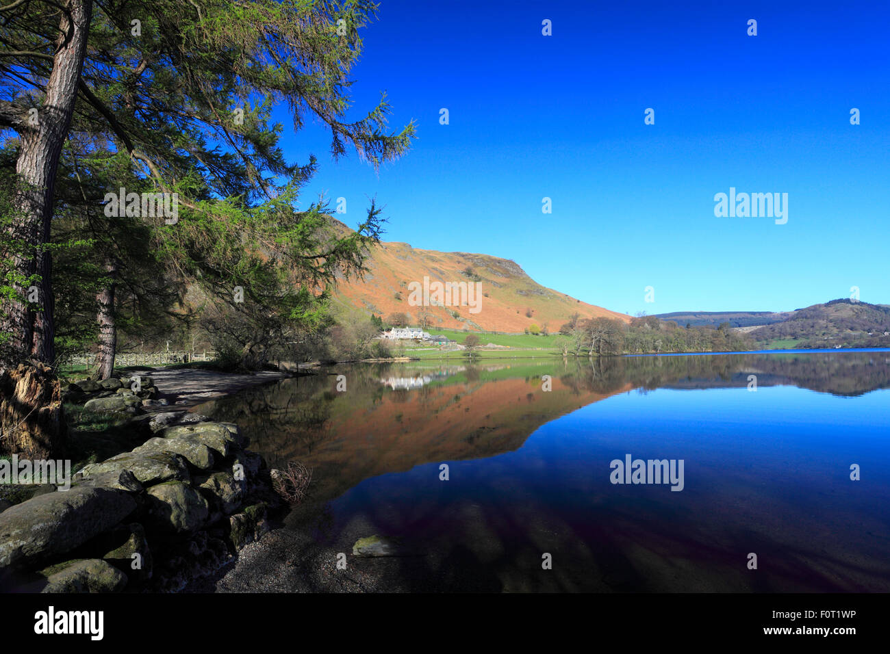 Spring, Reflection of Hallin fell, Howtown bay, Ullswater, Lake ...