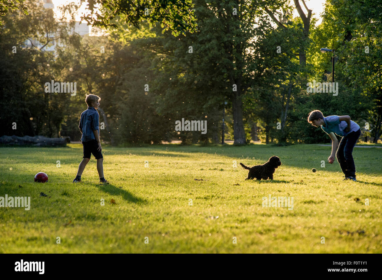 Park football summer fun hi-res stock photography and images - Alamy