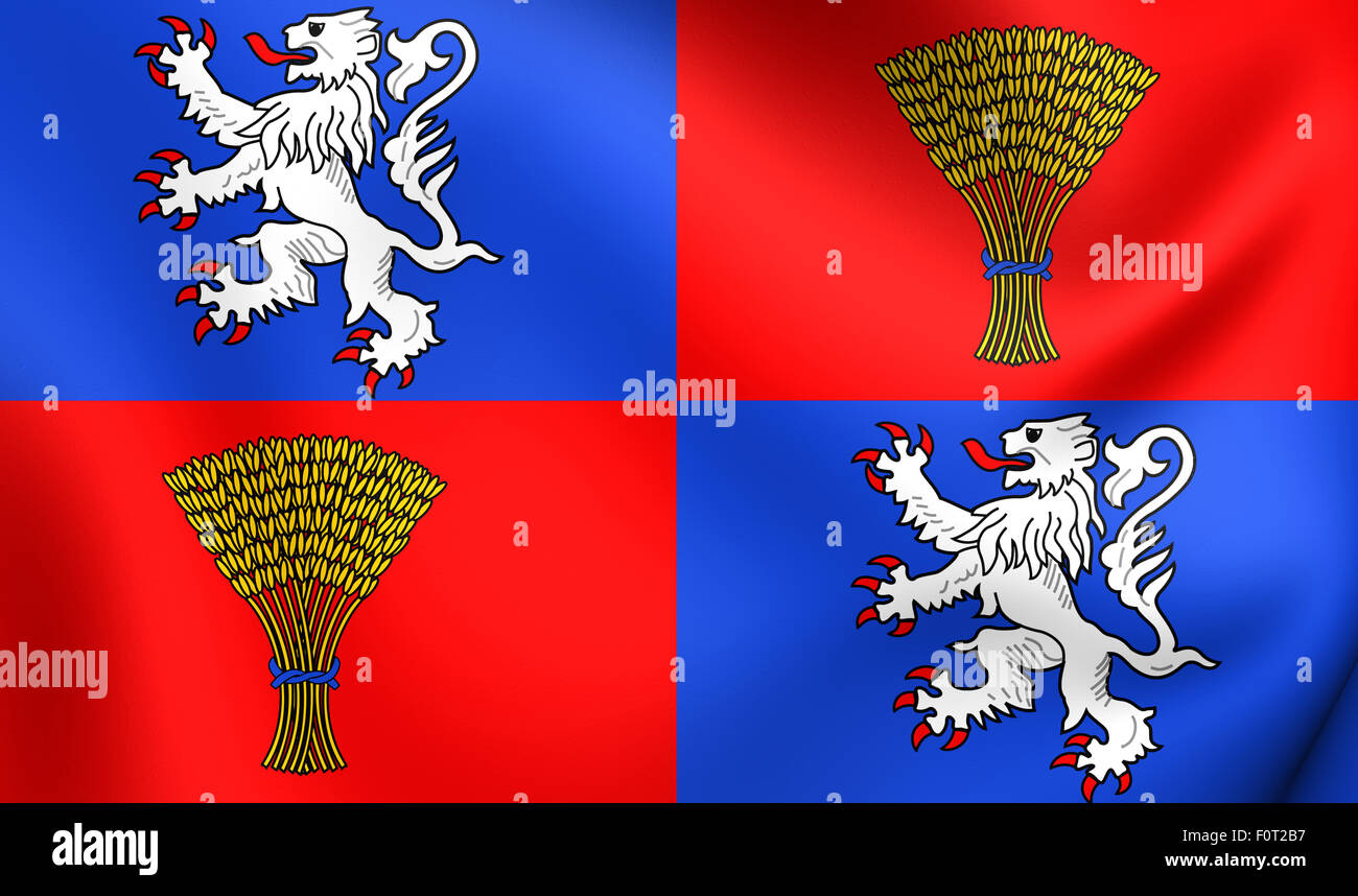 3D Flag of the Gascony, France. Close Up Stock Photo - Alamy