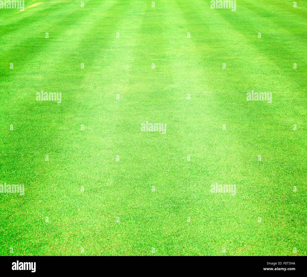 Football pitches hi-res stock photography and images - Alamy