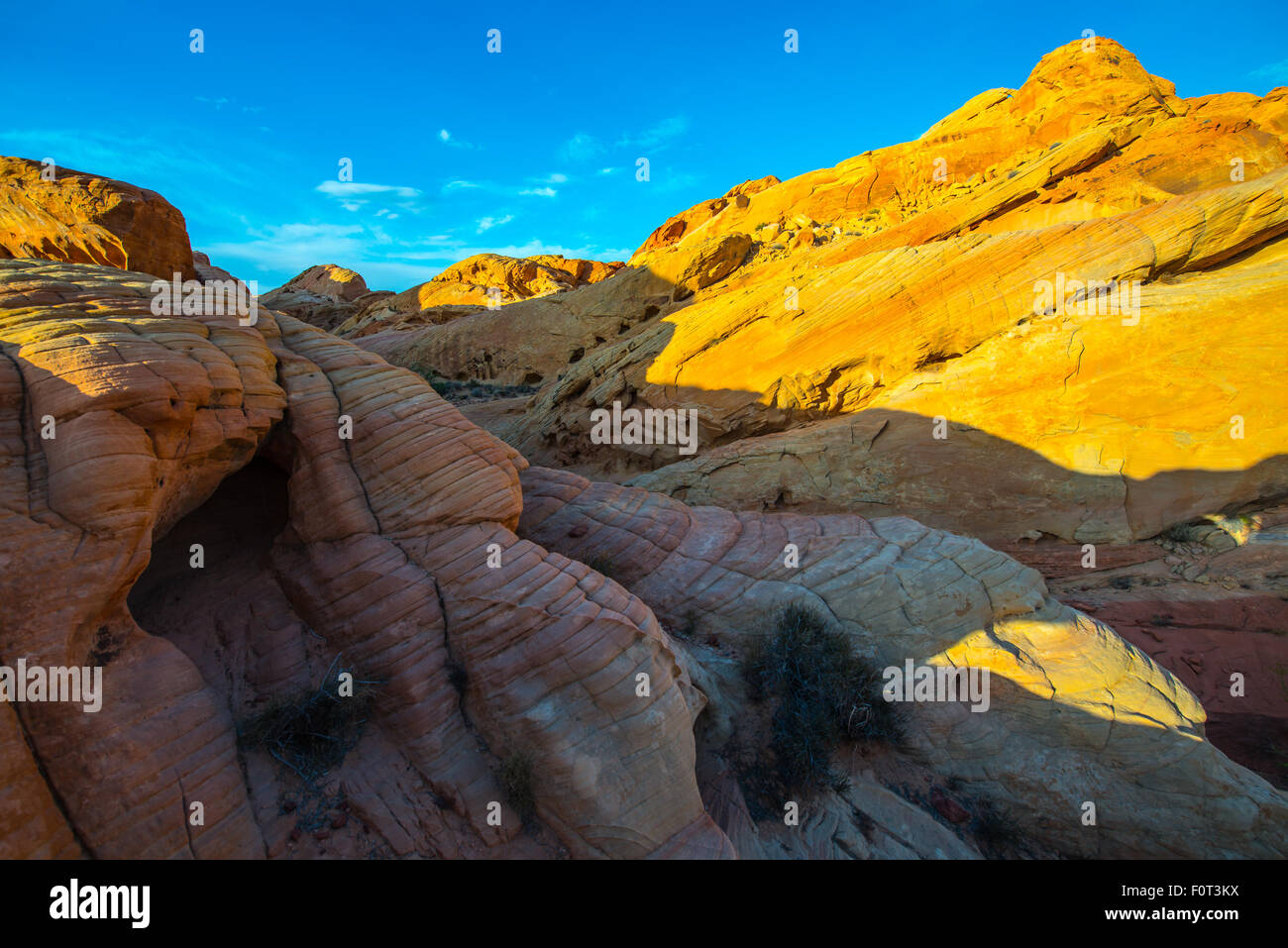 The canyons, domes, towers, ridges and valleys of Rainbow Vista Stock ...