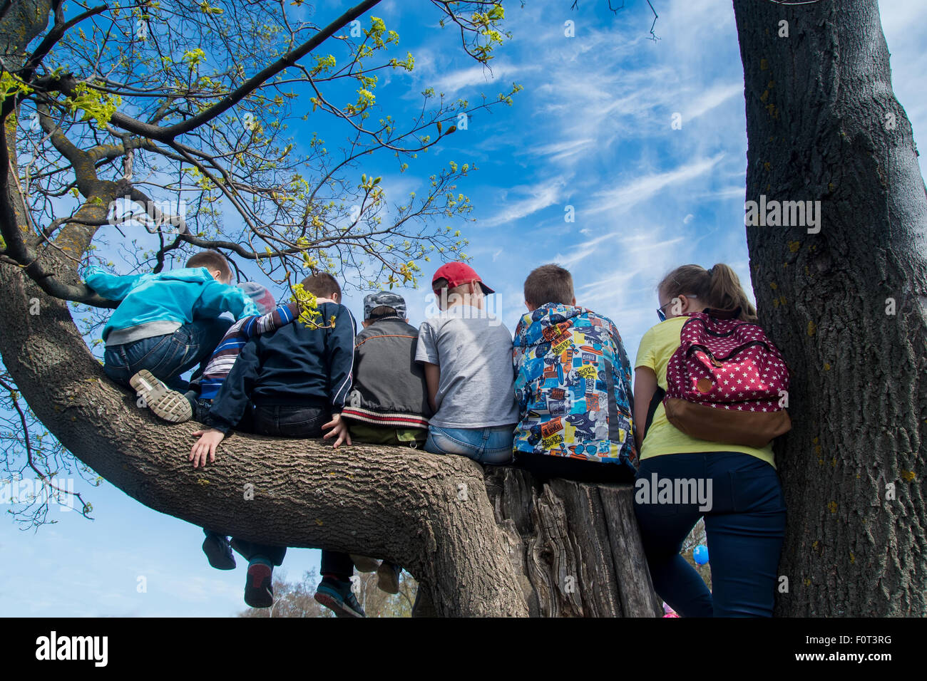 Children sitting on a tree branch and looking at the sky Stock Photo ...