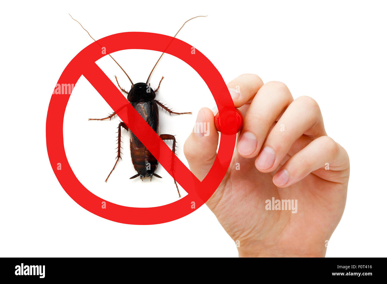 Hand drawing pest control concept with red marker. Prohibition sign on ...