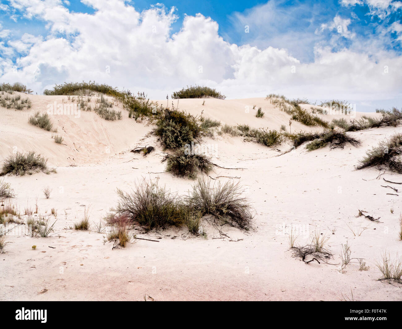 The Dunes of the White Sands National Monument in New Mexico USA Stock ...