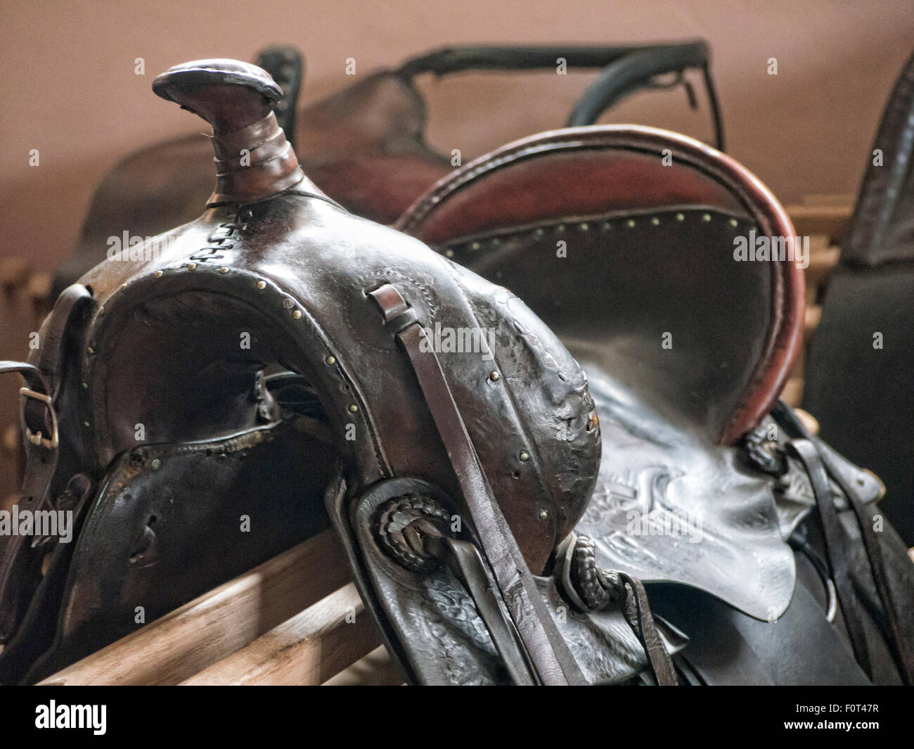Cattle rustlers hi-res stock photography and images - Alamy