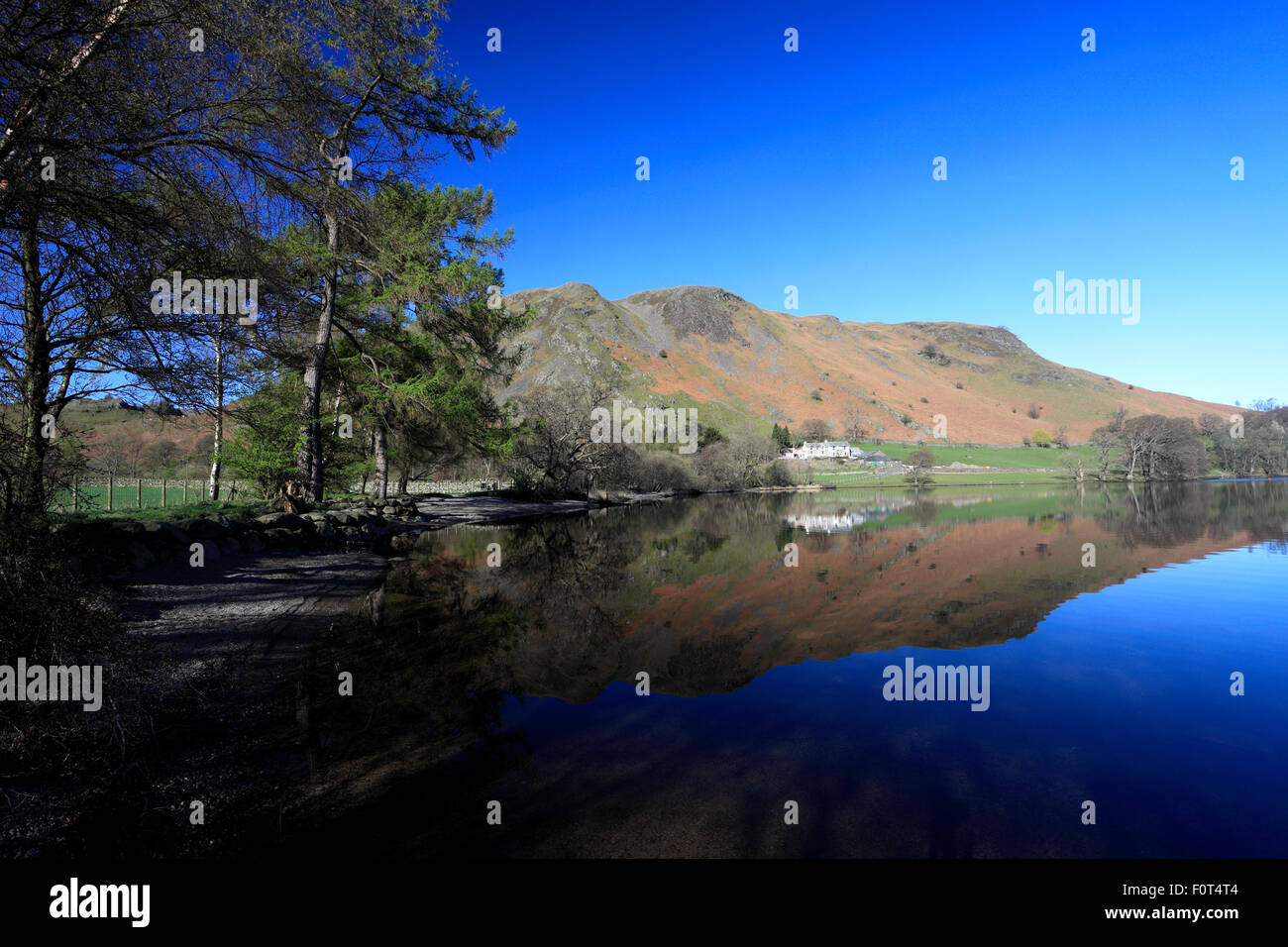 Spring, Reflection of Hallin fell, Howtown bay, Ullswater, Lake ...
