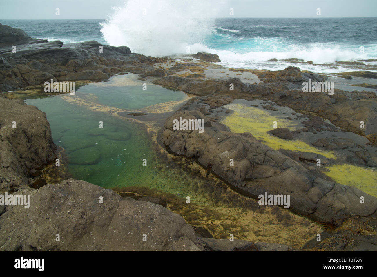 Gran Canaria, Banaderos area, calm rock pools, foamy wave is coming ...