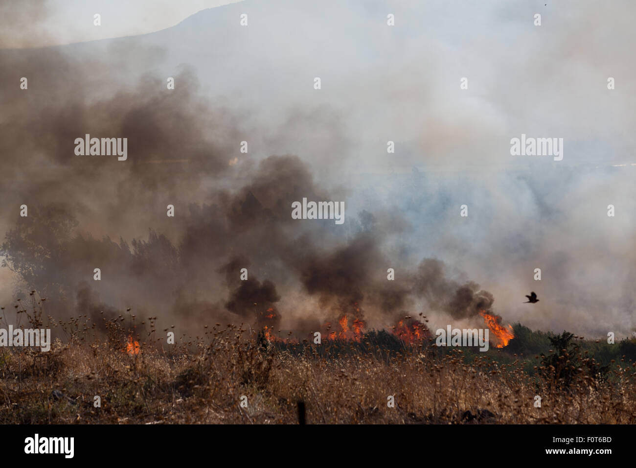 21st fire unit hi-res stock photography and images - Alamy