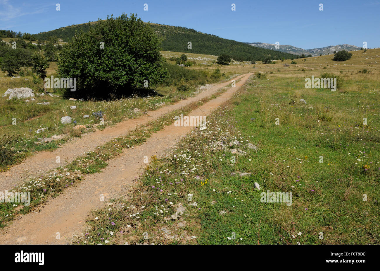 Abandoned farmland due to globalisation, socio-cultural reasons, the ...