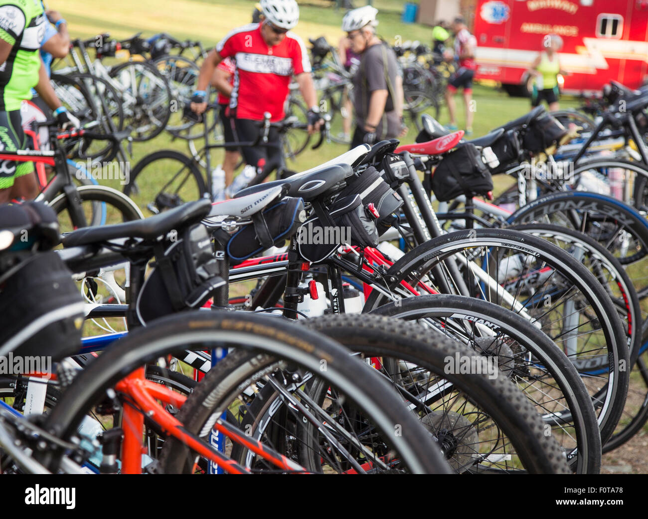 Bicycles on a rack at a cycling event Stock Photo - Alamy