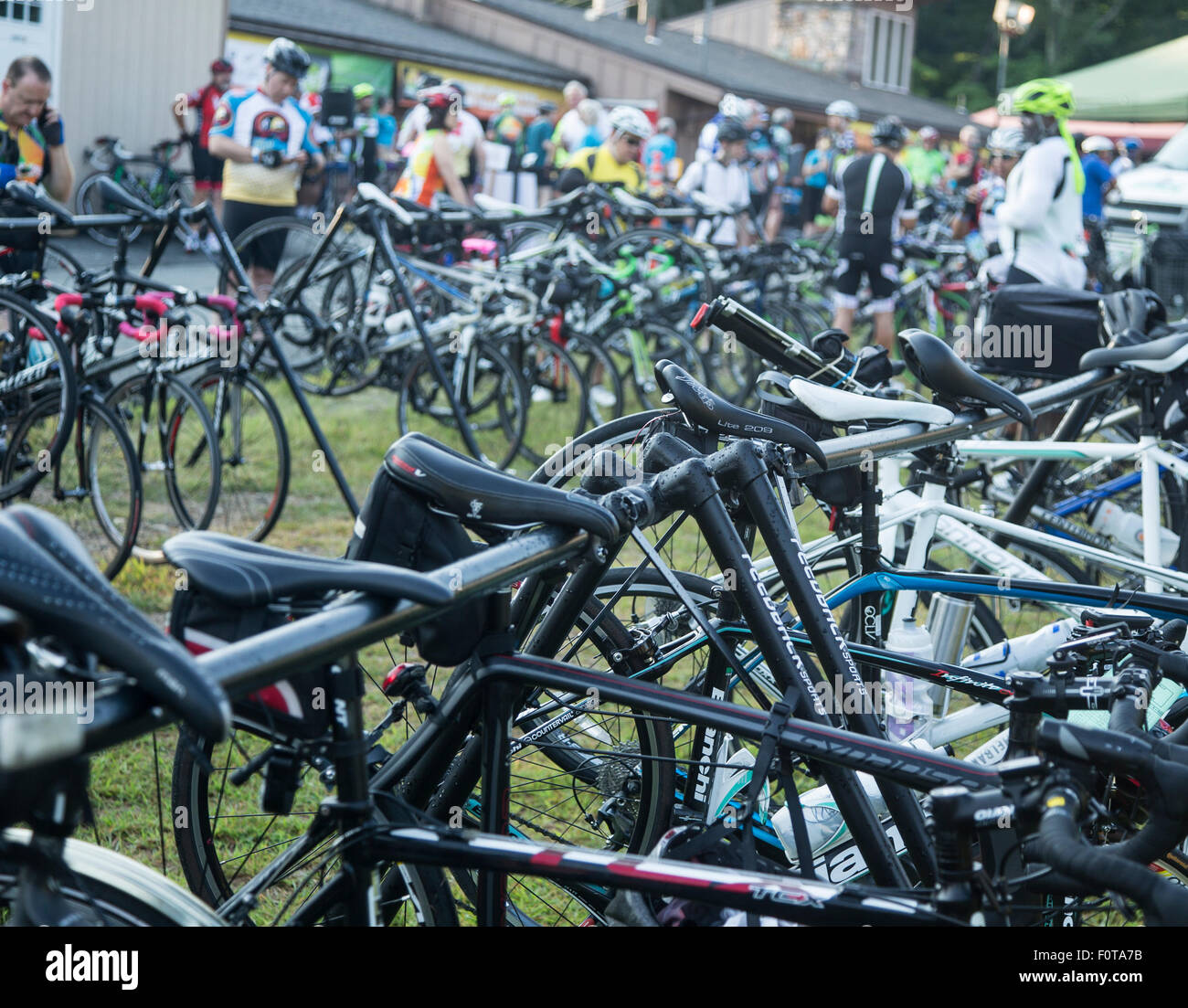 Bicycles on a rack at a cycling event Stock Photo - Alamy