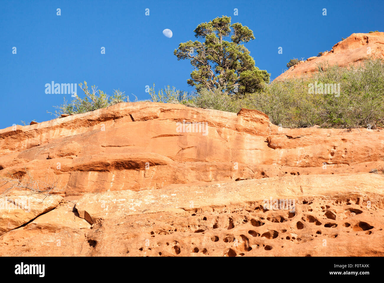 Kolob Canyons, Zion National Park, Utah, USA Stock Photo - Alamy