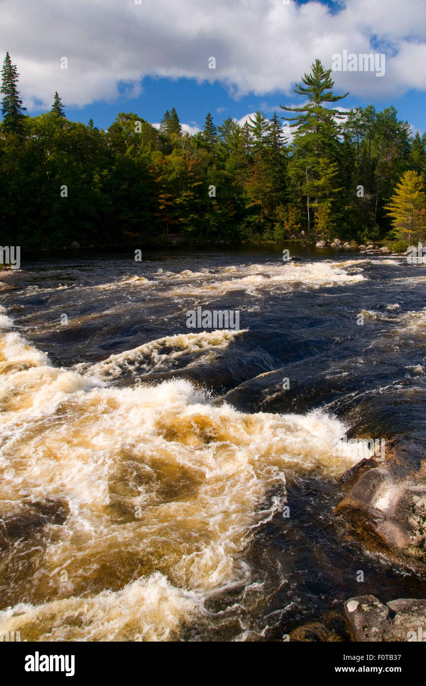 West branch penobscot river hi-res stock photography and images - Alamy