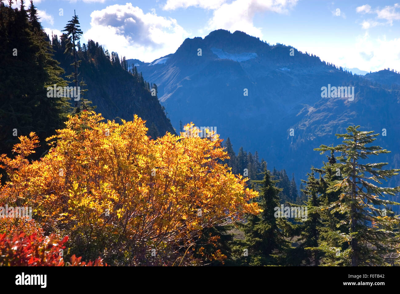 View from Artist Point Trail, Mt Baker Scenic Byway, Mt Baker ...