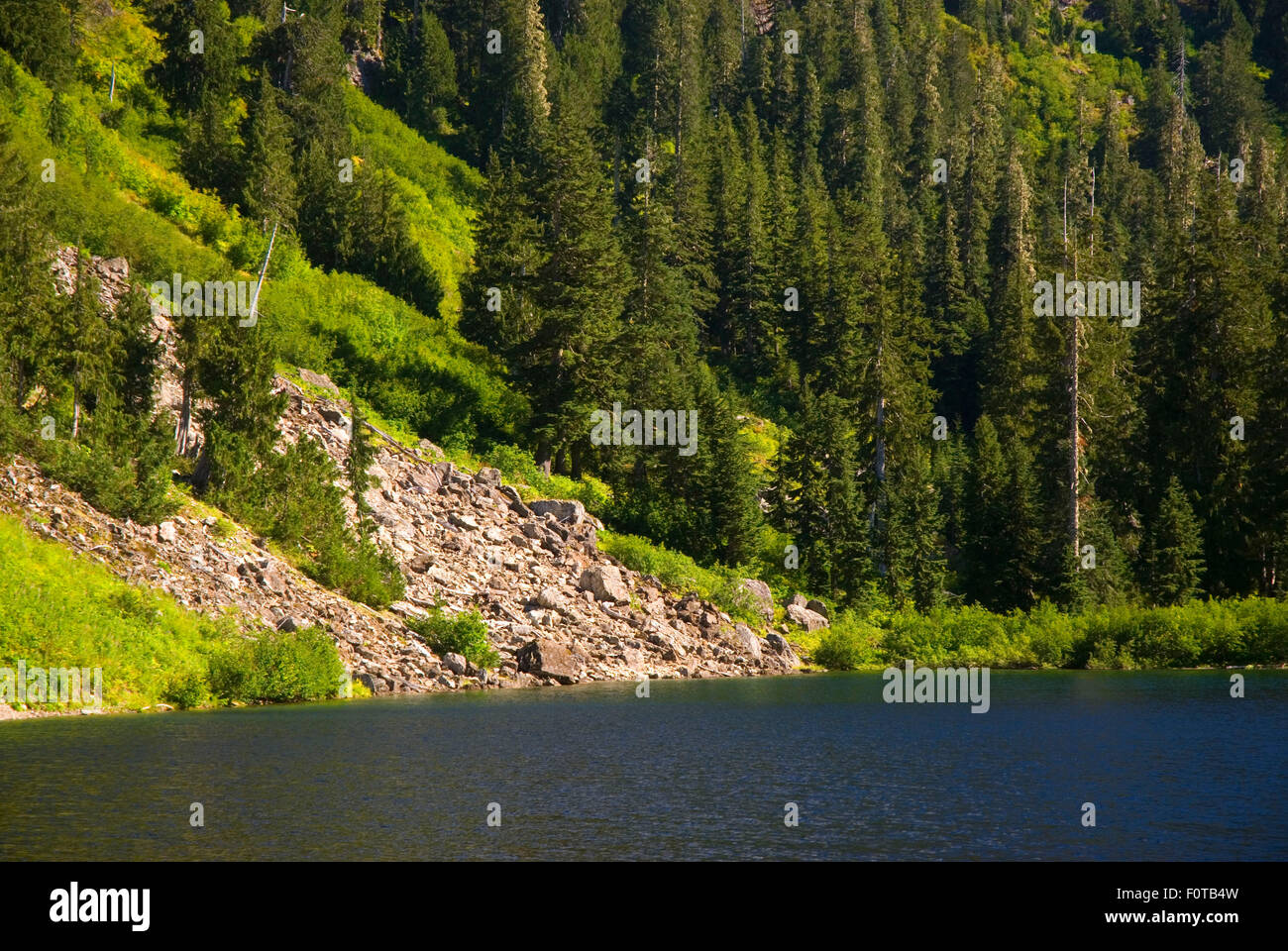 Coal Lake, Mt Baker-Snoqualmie National Forest, Washington Stock Photo ...